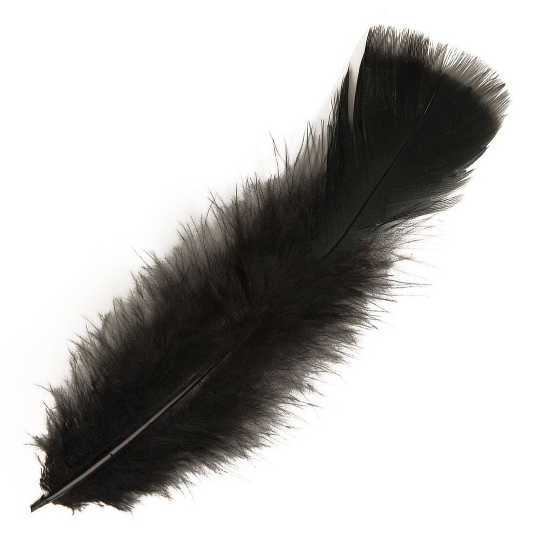 50 Federn Schmuckfedern schwarz, 3,09